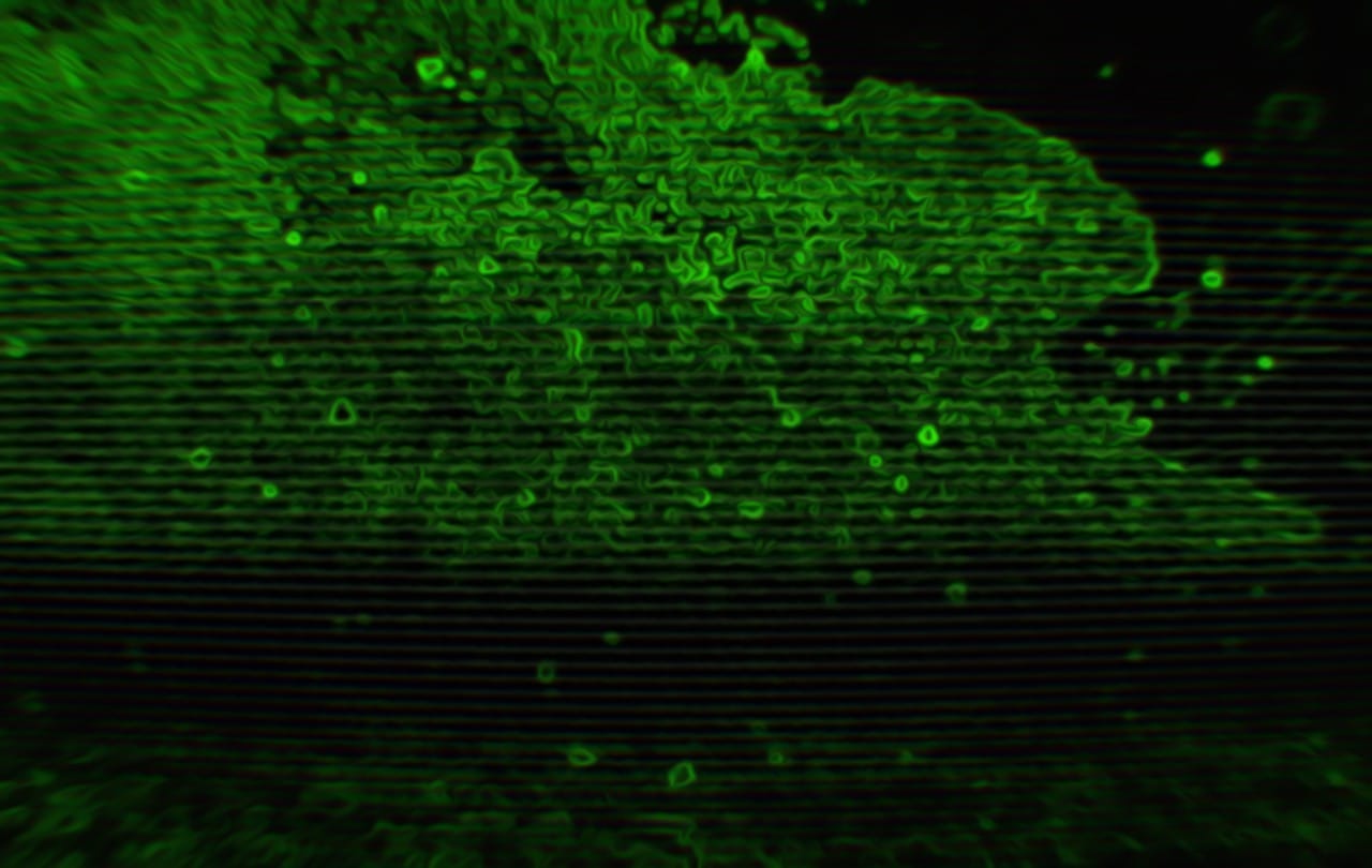 Delta Green, RPG, Role-Playing Game, Horror RPG, Conspiracy RPG, H.P ...