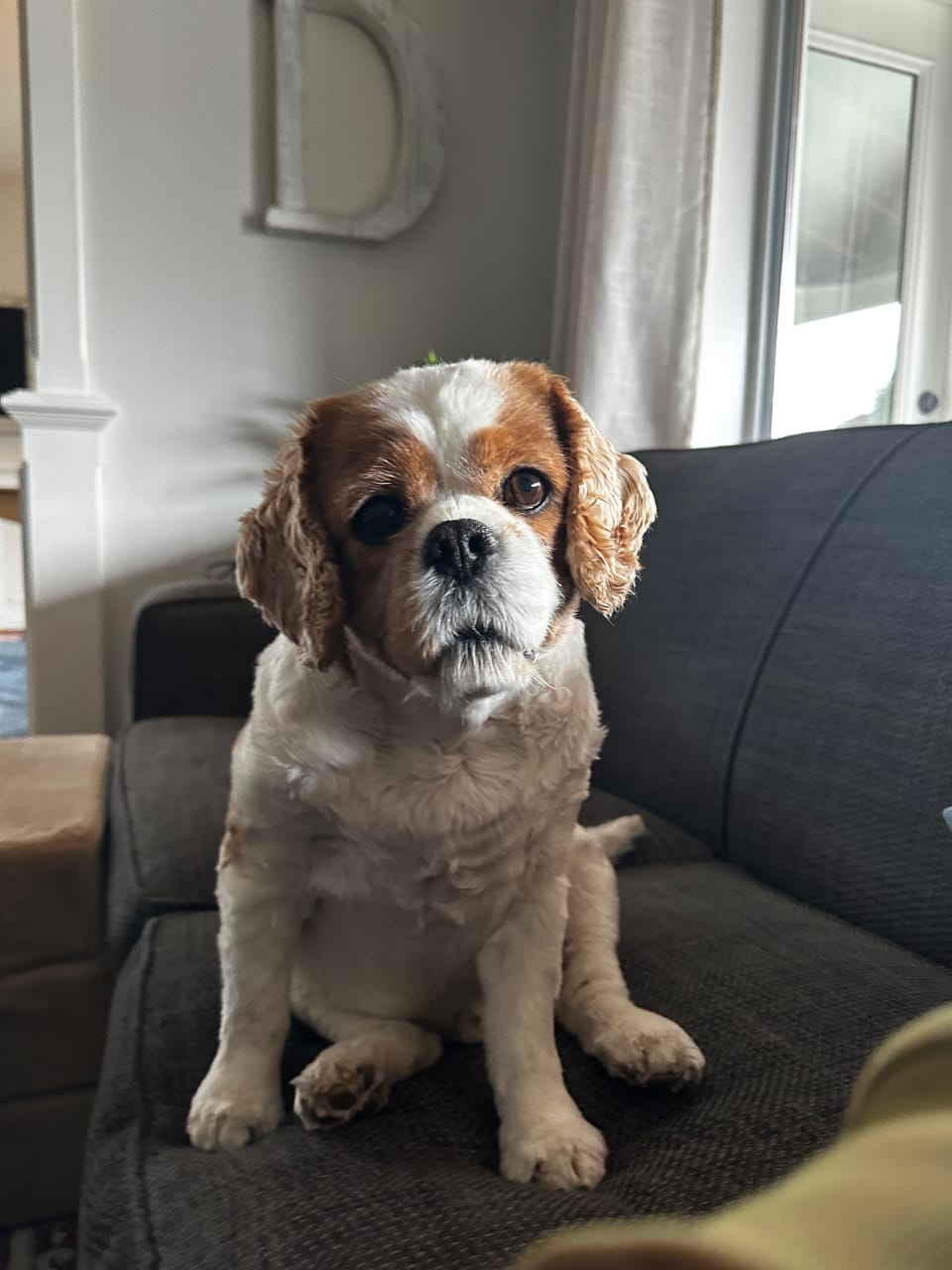 Delta Green, RPG, Role-Playing Game, Horror RPG, Conspiracy RPG, H.P ...